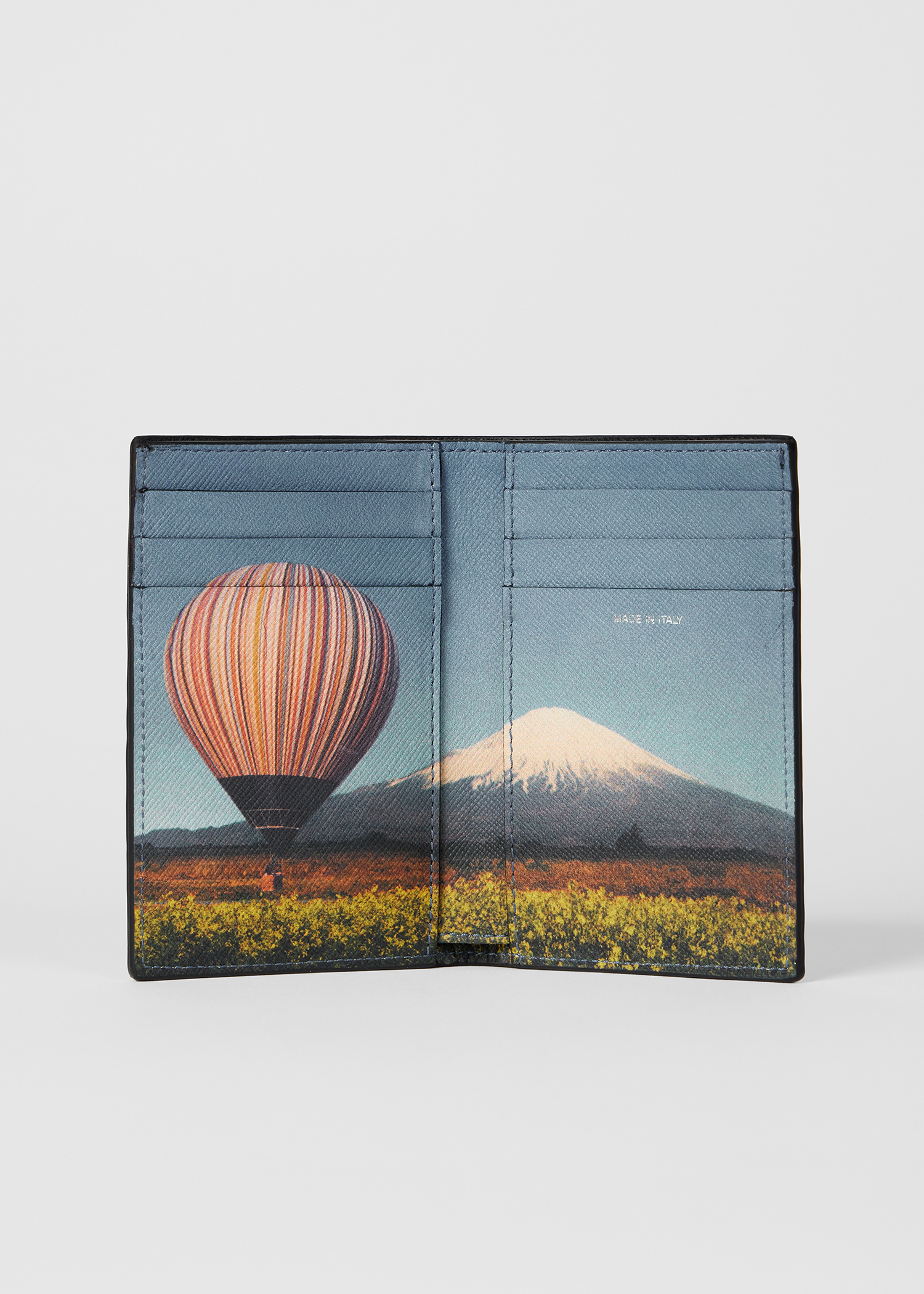 Black 'Signature Stripe Balloon Mount Fuji' Interior Credit Card Wallet